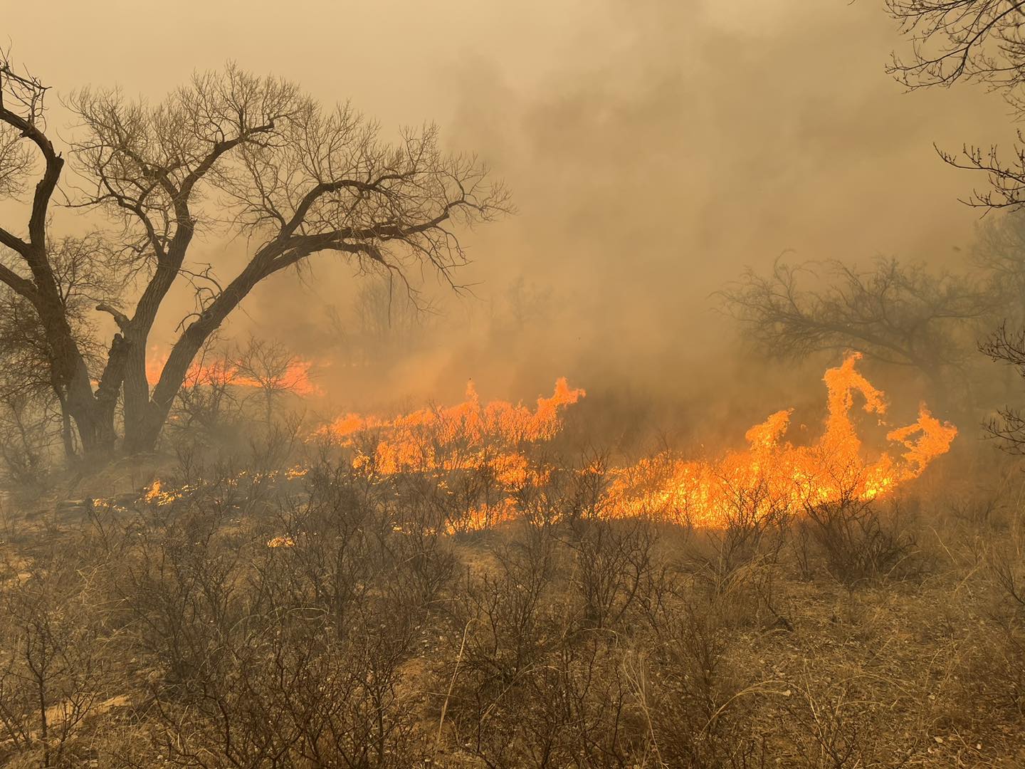 What's the difference between a contained and a controlled wildfire?