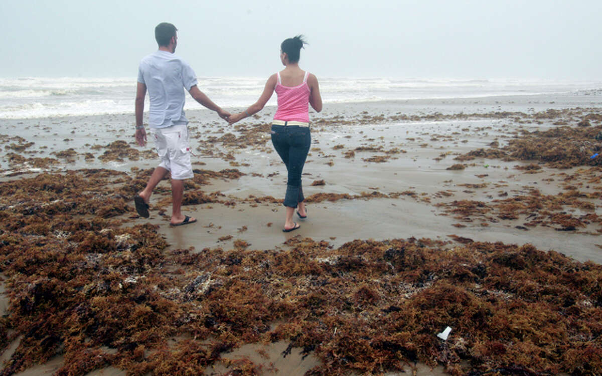 Meet 2010's first hurricane, Alex