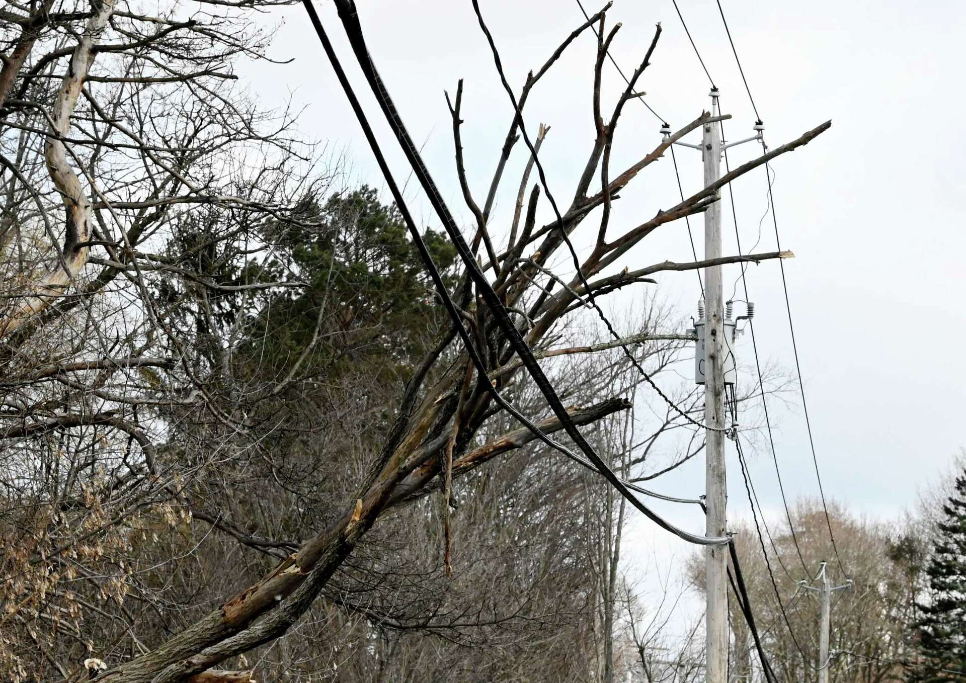 National Grid: Power restored to 97% of storm-affected customers