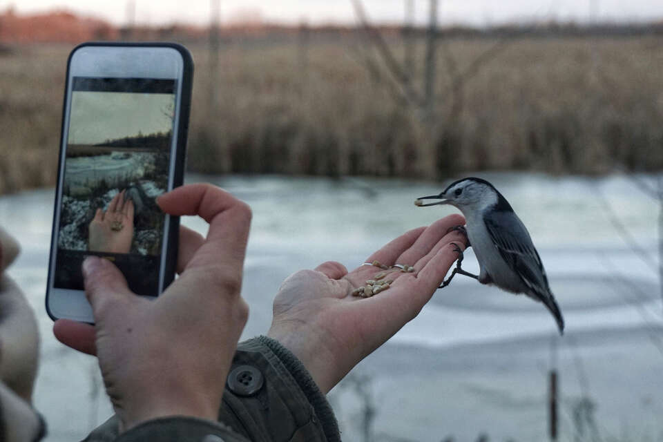 Beginner's Guide to Bird-Watching
