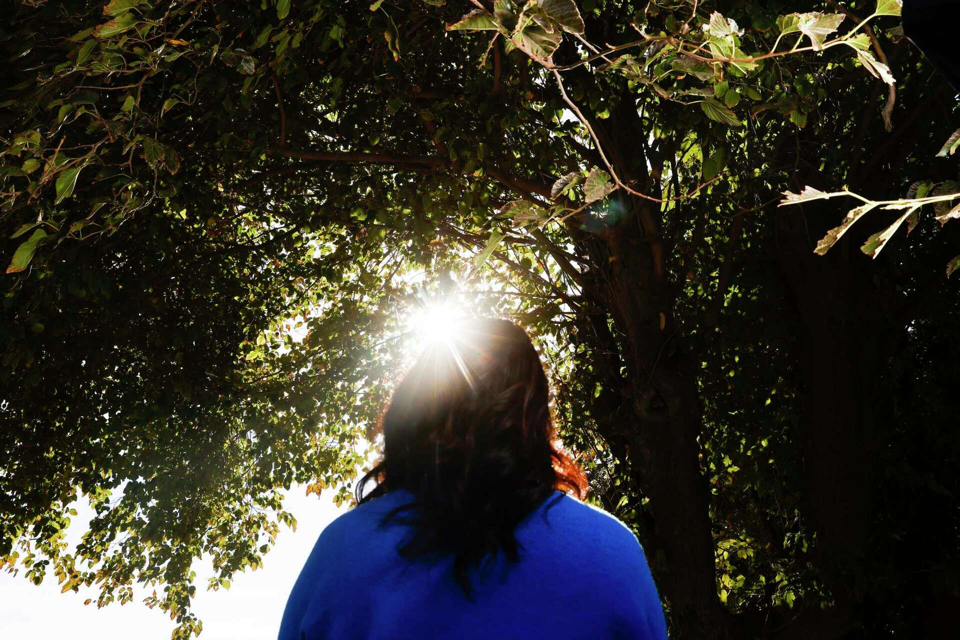 Six women say ultrasound technician sexually assaulted them