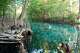 6 Must-Visit Springs in Florida That Are Always 72 Degrees