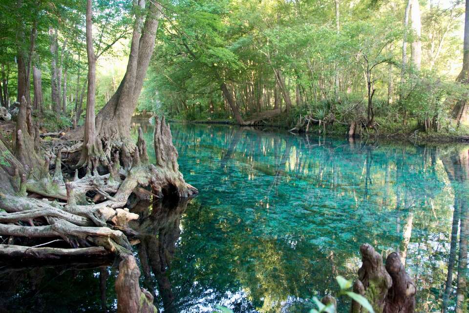 6 Must-Visit Springs in Florida That Are Always 72 Degrees