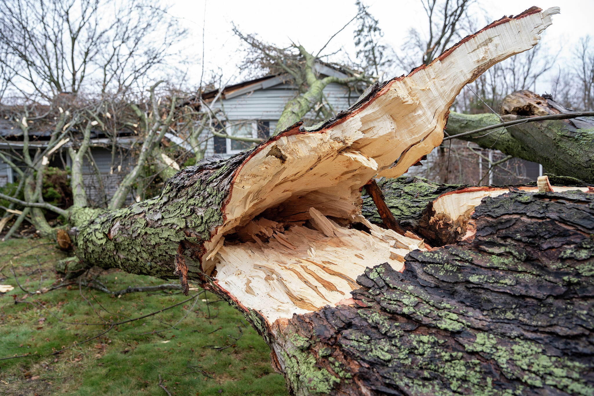 Climate change has altered Michigan's winters forever