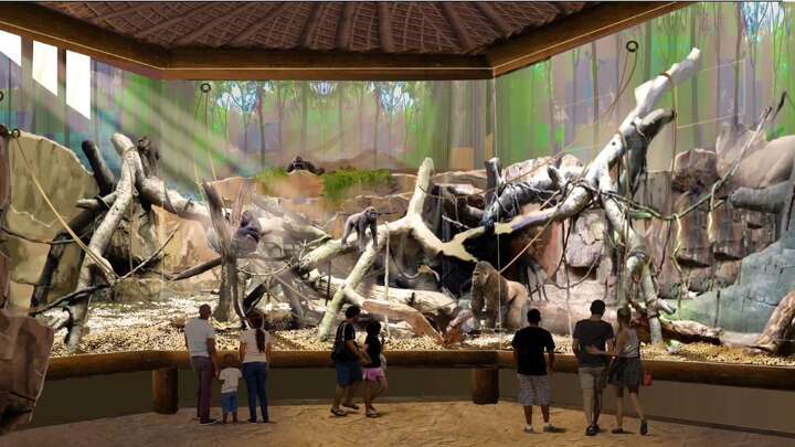 San Antonio zoo breaks ground on new gorilla habitat