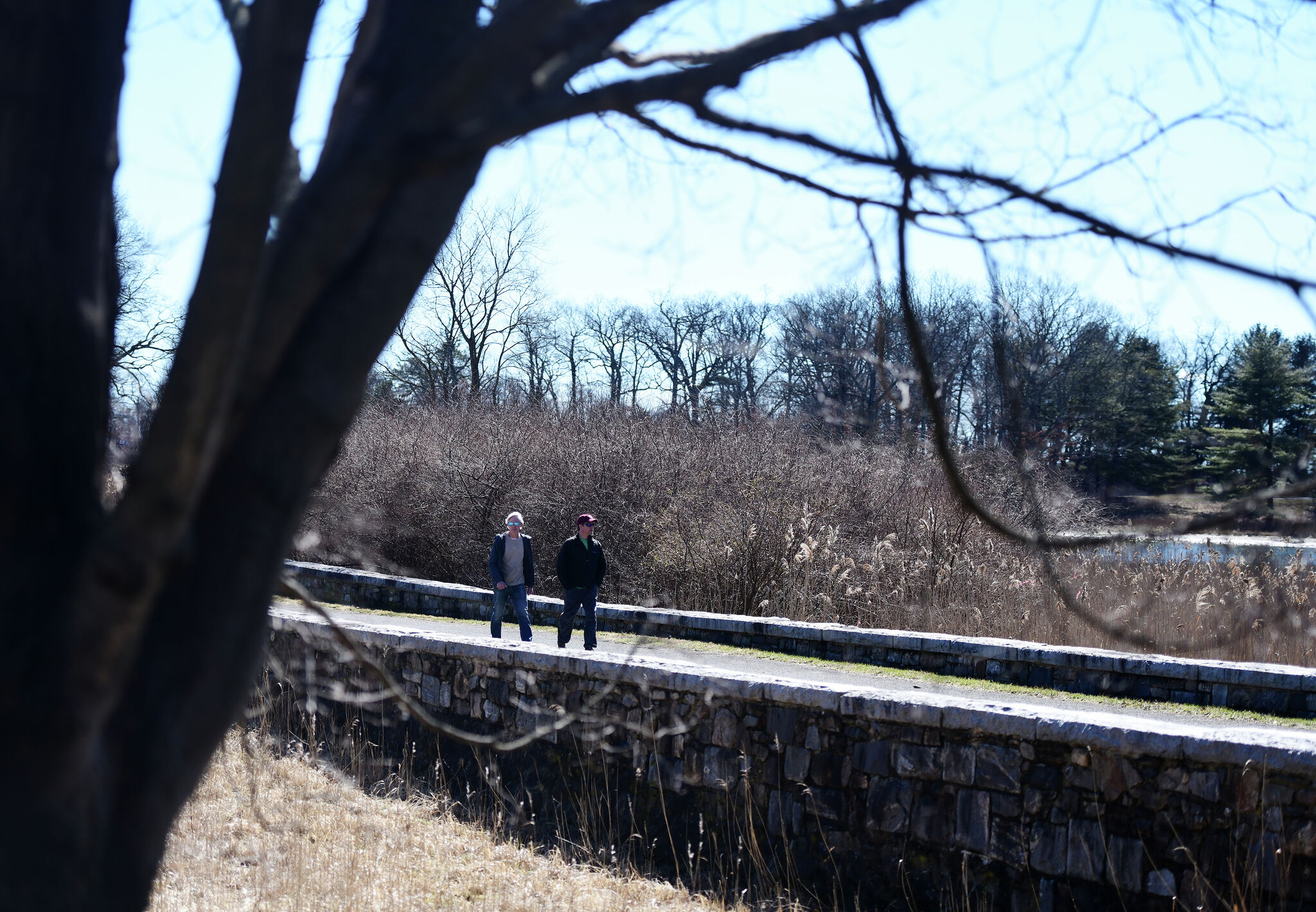 Darien looks into running shuttle service to Great Island