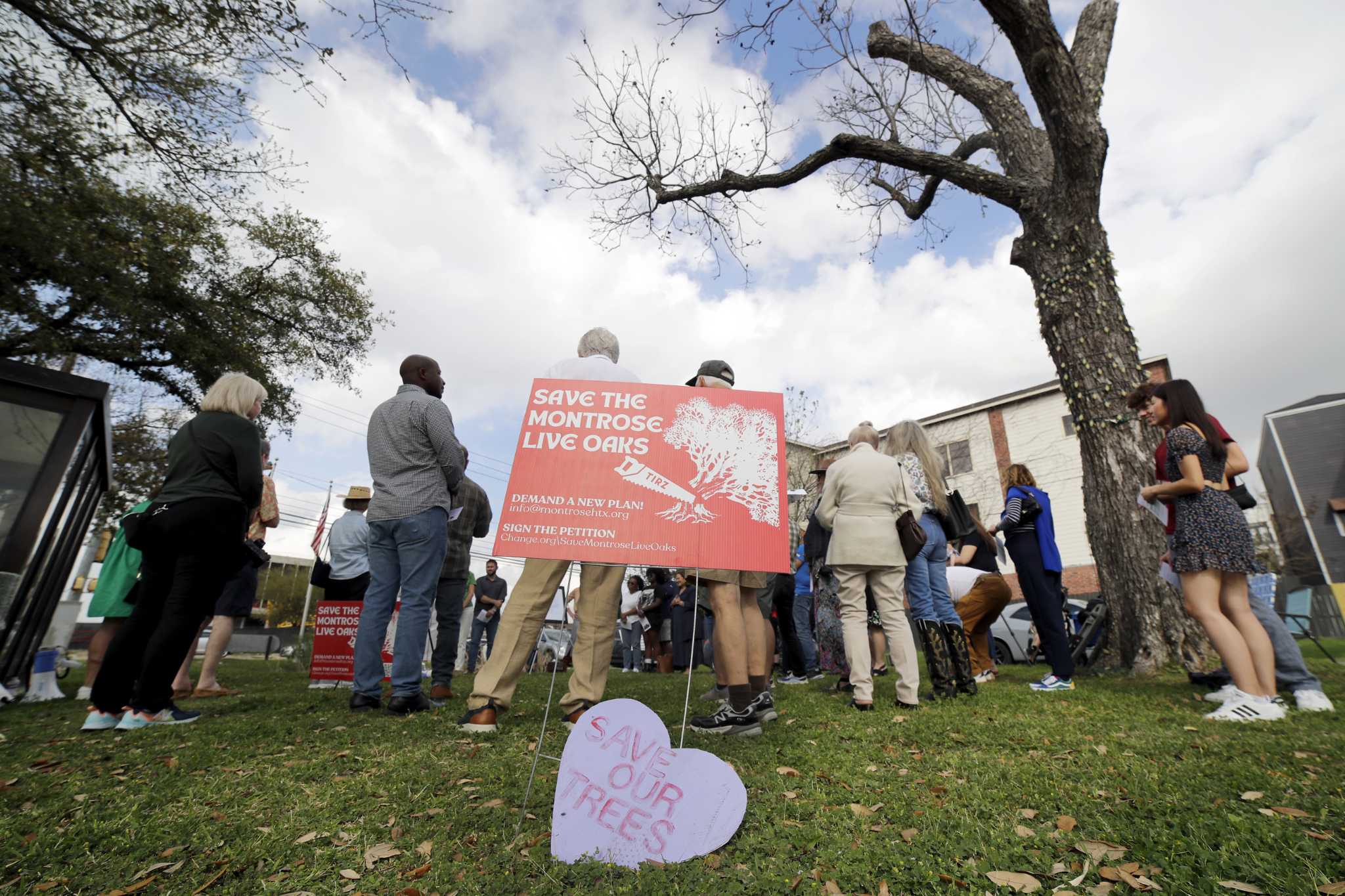 ‘Three Sisters,’ iconic Montrose oak trees, given historic designation