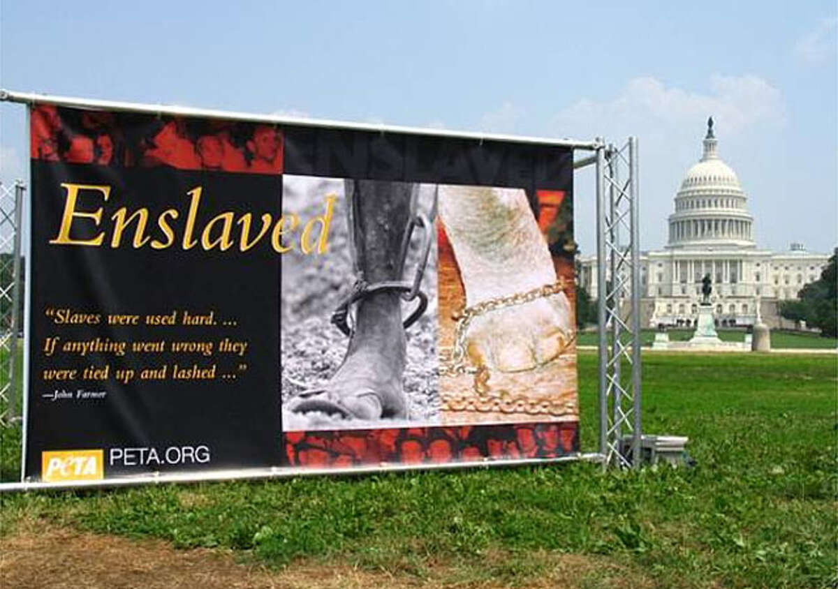 How PETA protests animal cruelty