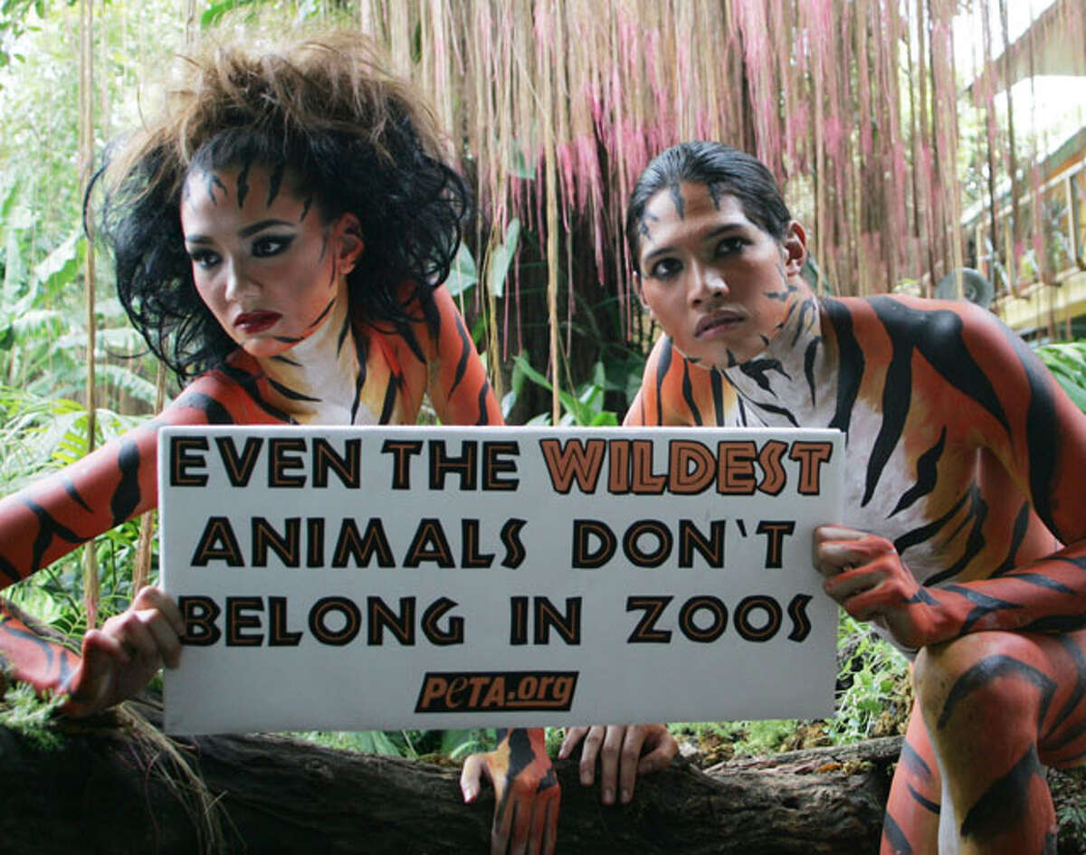 How PETA protests animal cruelty