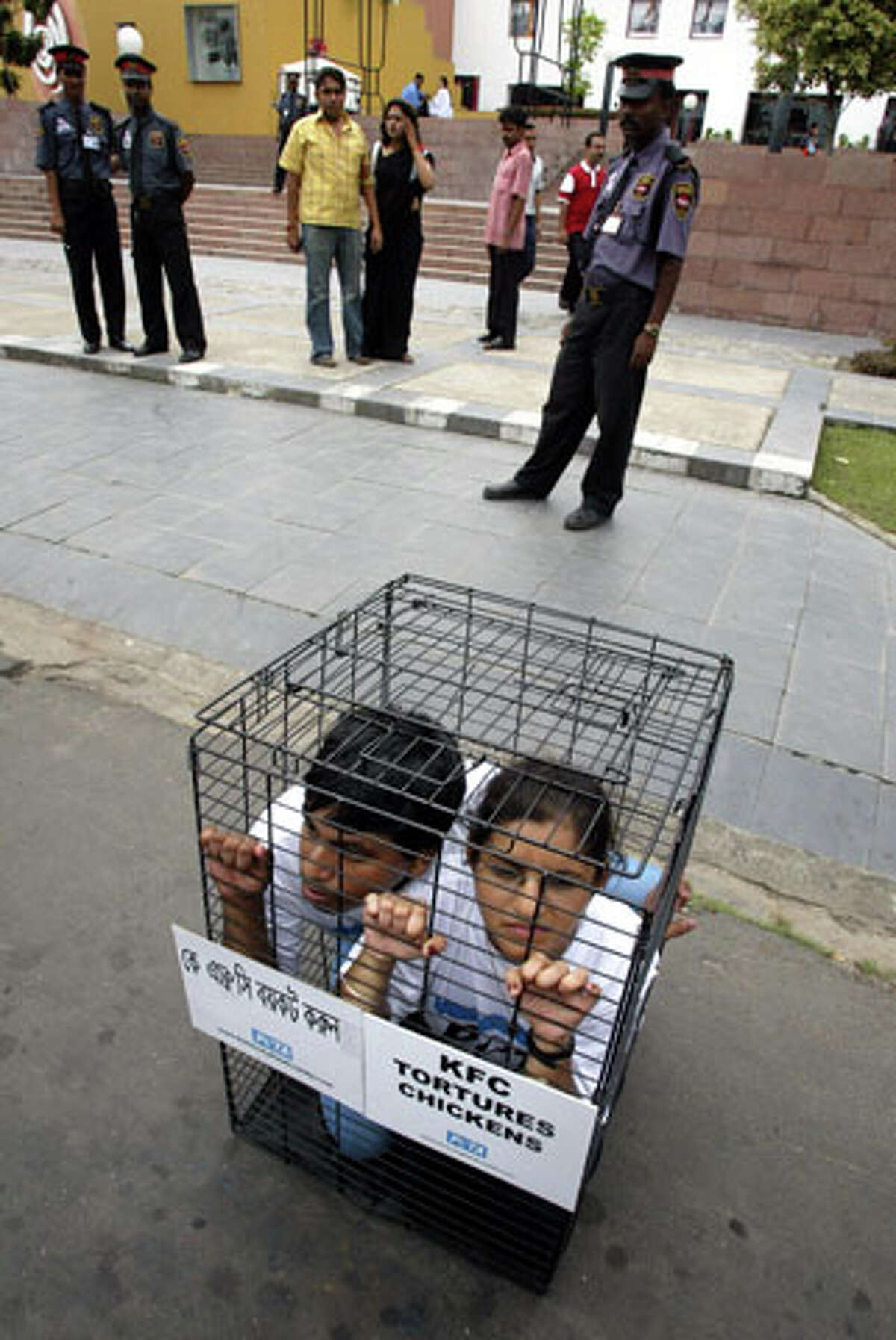 How PETA protests animal cruelty