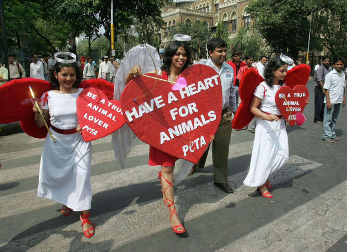 How PETA protests animal cruelty