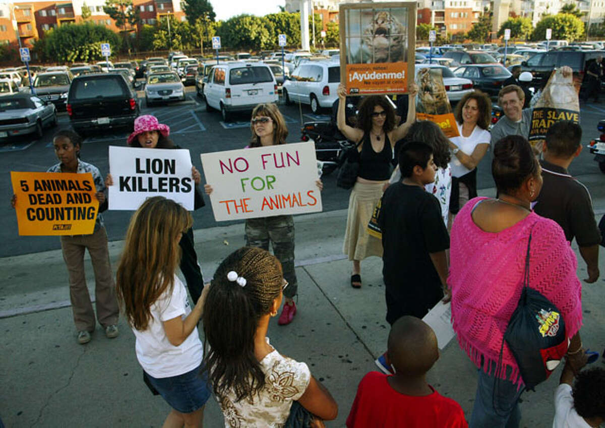 How PETA protests animal cruelty