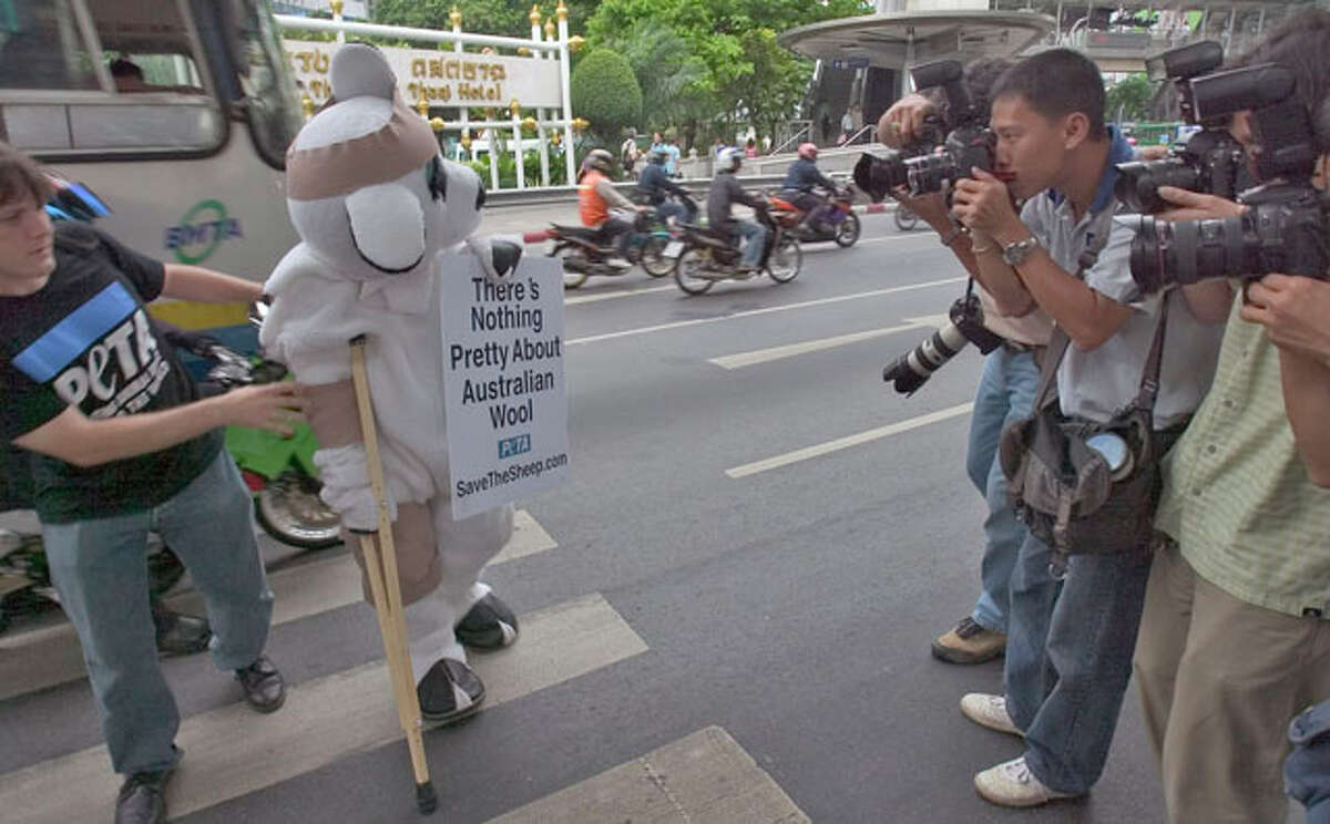 How PETA protests animal cruelty