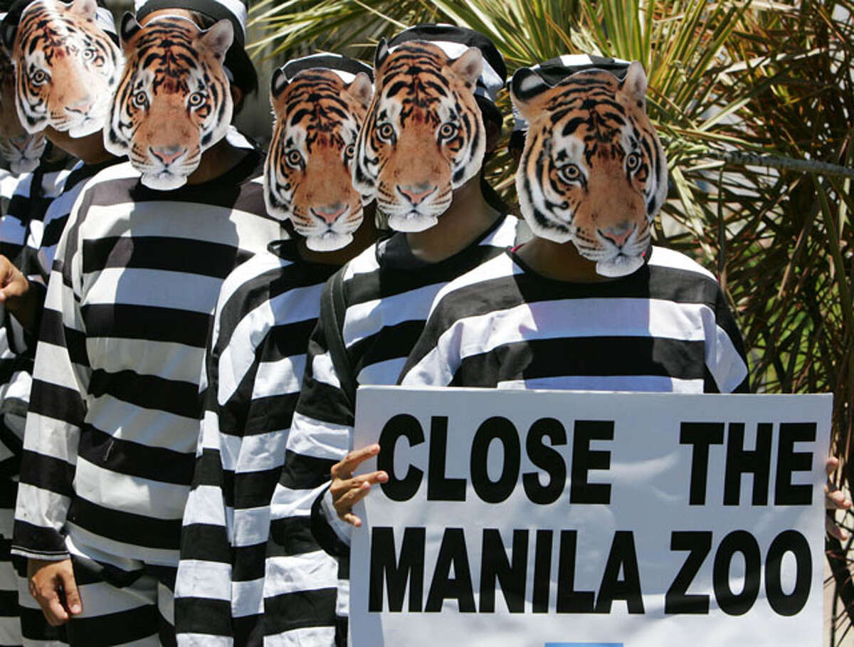 How PETA protests animal cruelty