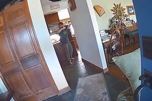 Lisa Backus, Staff Writer - CT Insider