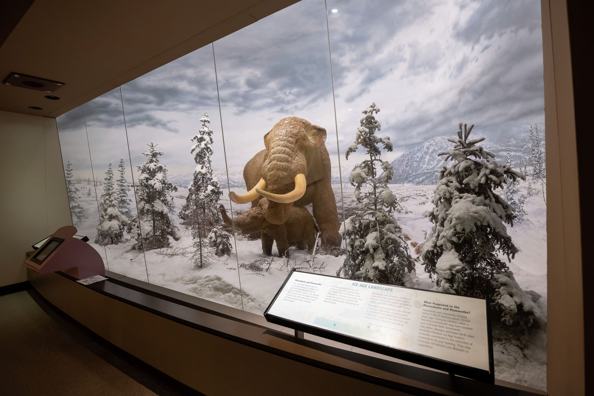 Churchill: Pat Fahy has a plan to revive the State Museum