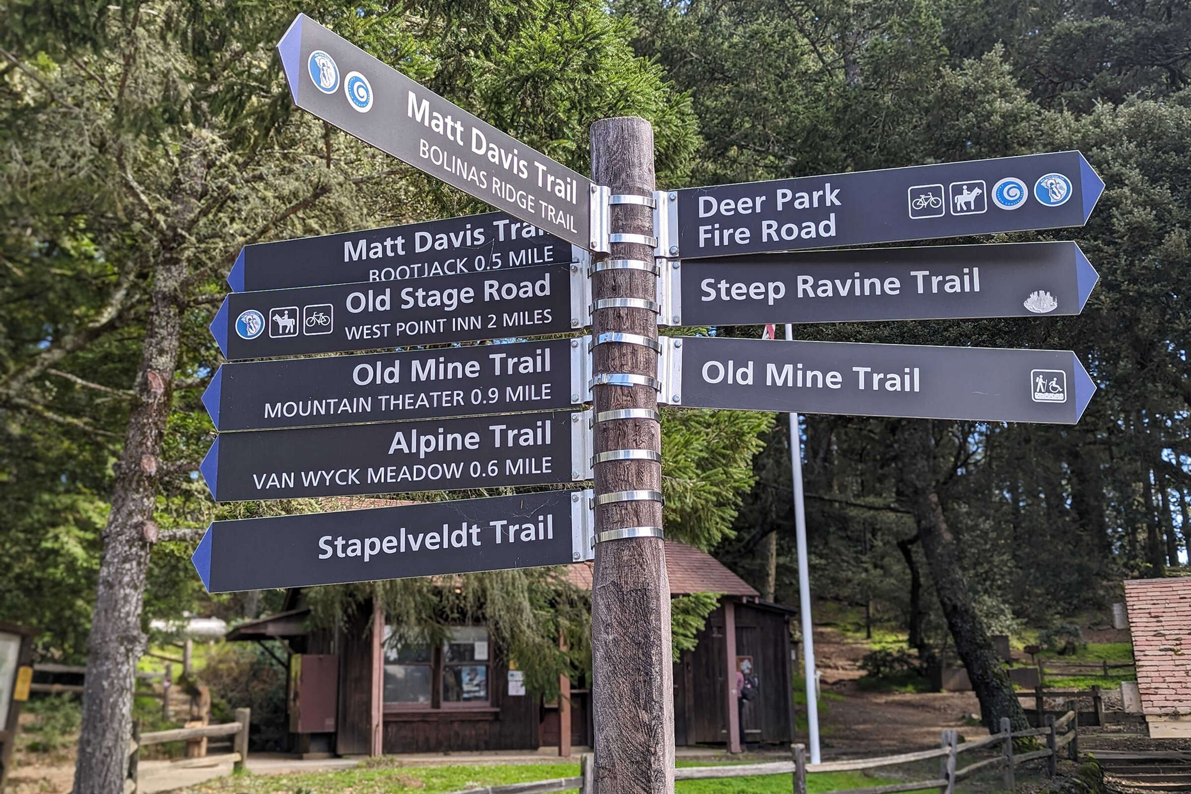 Bay Area hike ends with climbing redwood ladder over a waterfall