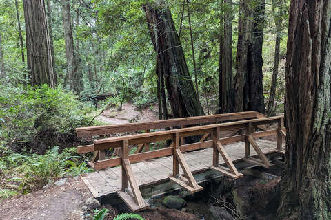 Bay Area hike ends with climbing redwood ladder over a waterfall