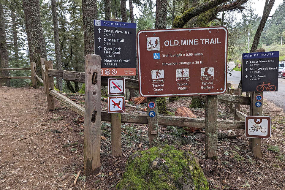 Bay Area hike ends with climbing redwood ladder over a waterfall