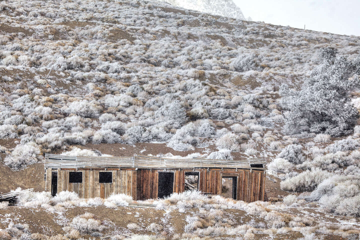 What it's like for the four rangers living in a California ghost town