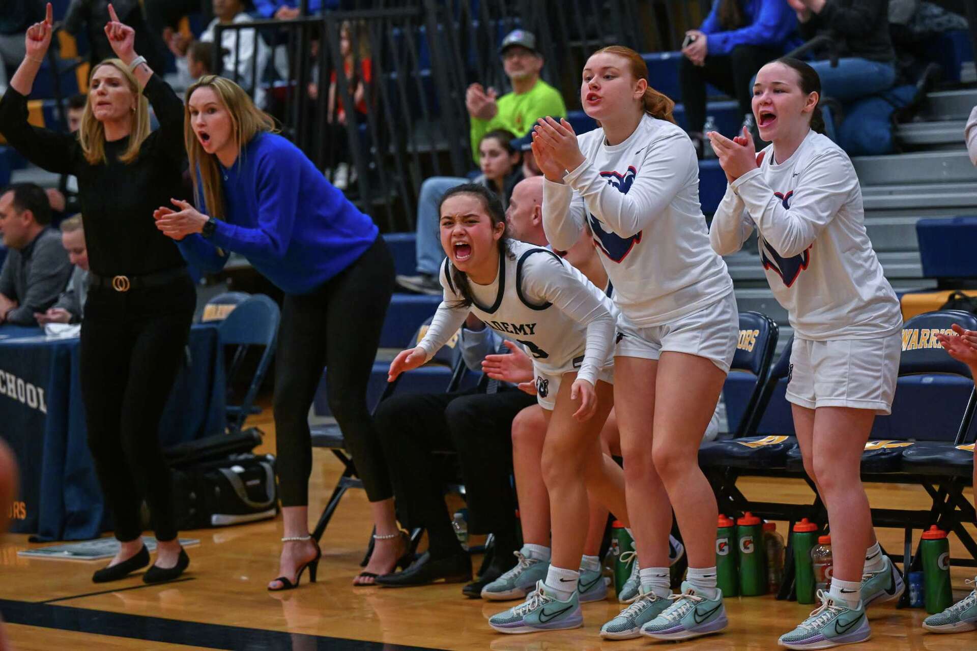 Albany Academy for Girls wins Class B regional vs. Saranac