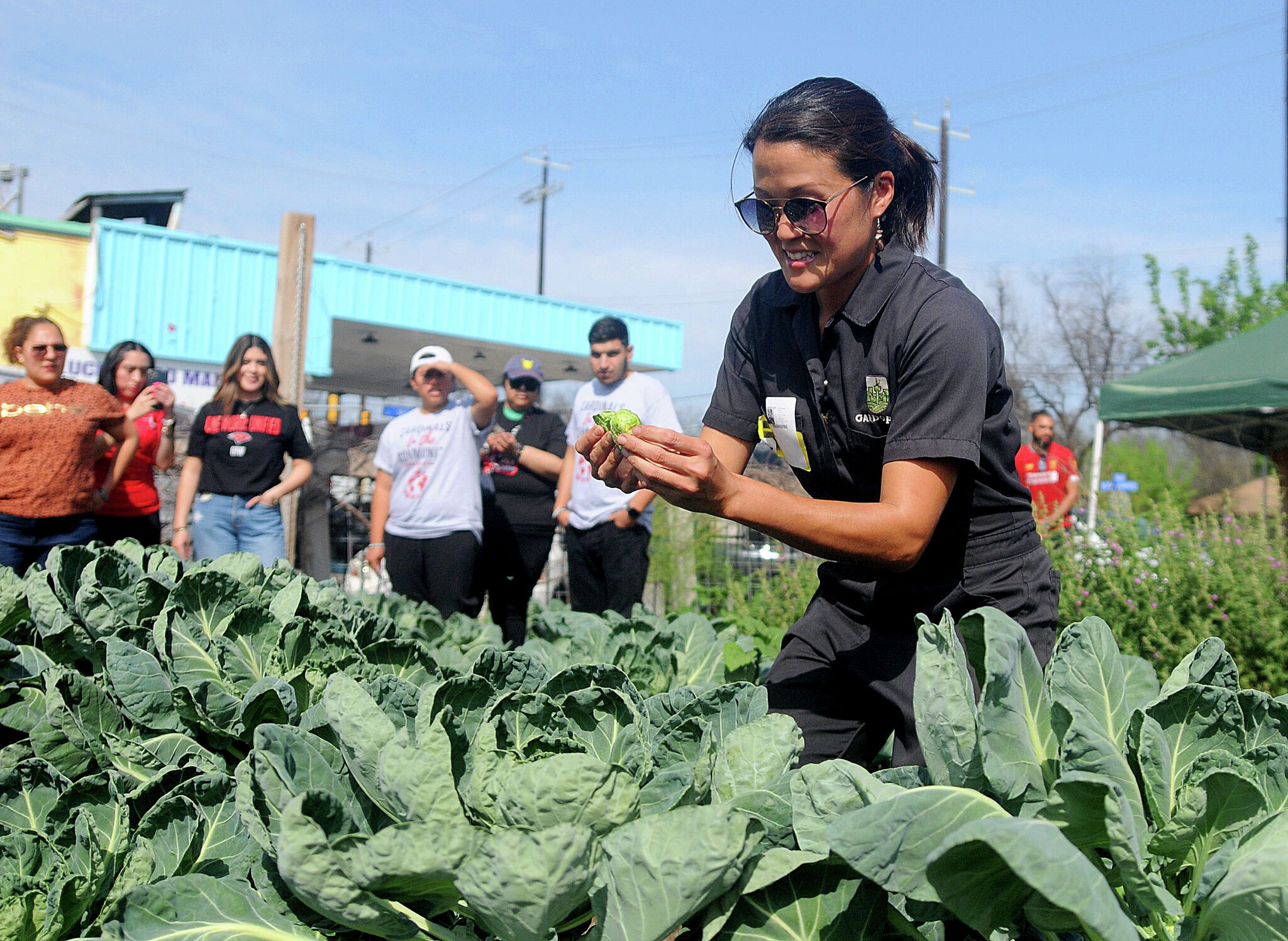 So you want to start a community garden? Here's what you need to know.