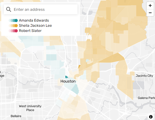How your neighborhood voted in the primary election
