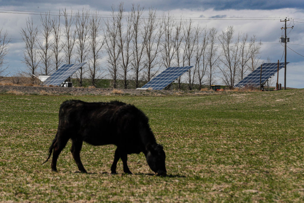 Solar panels spread across heartland as farmers chase stable returns