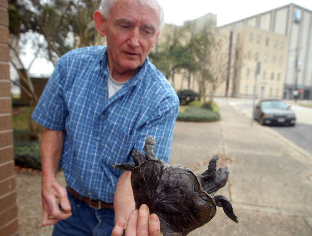 Lally's Oddities: Two-headed rattlesnakes and turtles