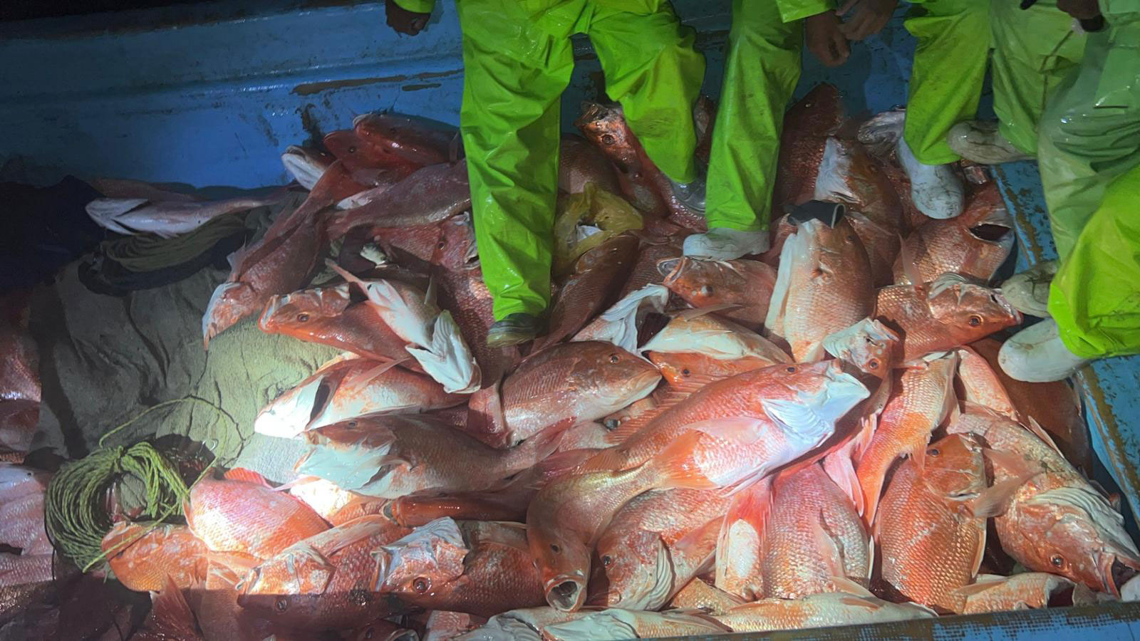 Coast Guard seizes 1,000 pounds of fish off Texas Gulf