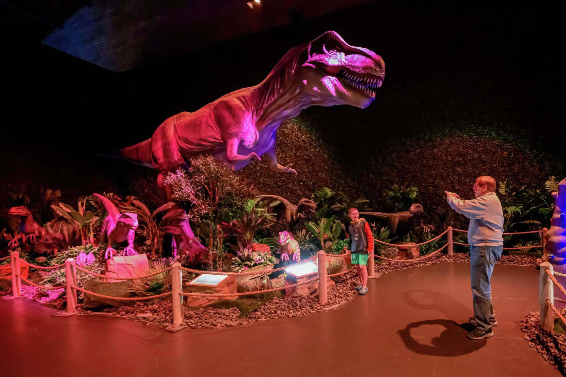 Photos: Dinos Live: An Immersive Experience opens in Schenectady