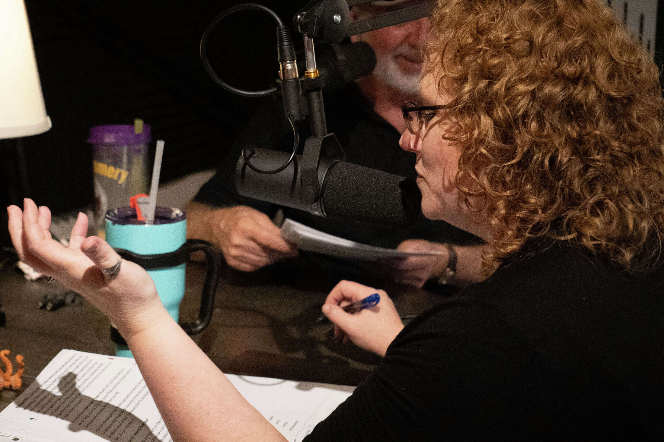 Podcast on news oddities called 'Remnant Stew' gets a reboot