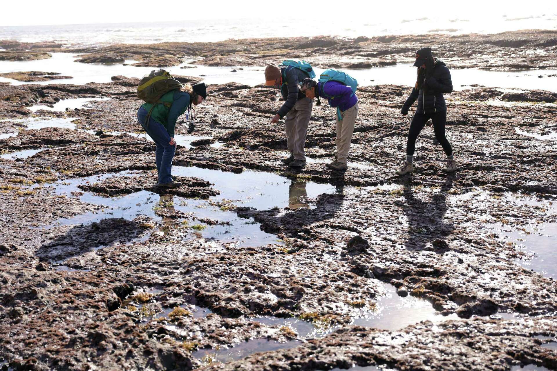 California’s largest exposed shale reef: How to visit responsibly
