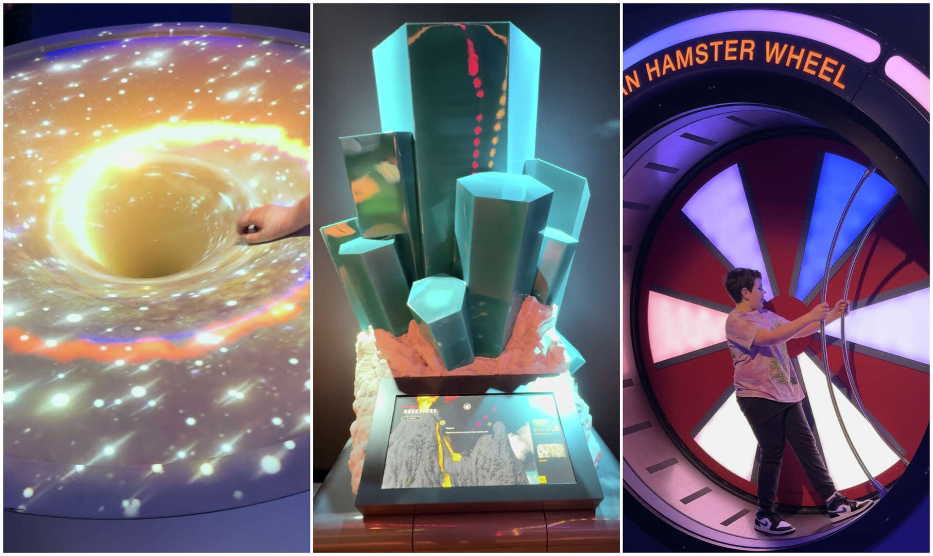 New 'Matter & Motion' exhibit at HM is the ultimate science field trip