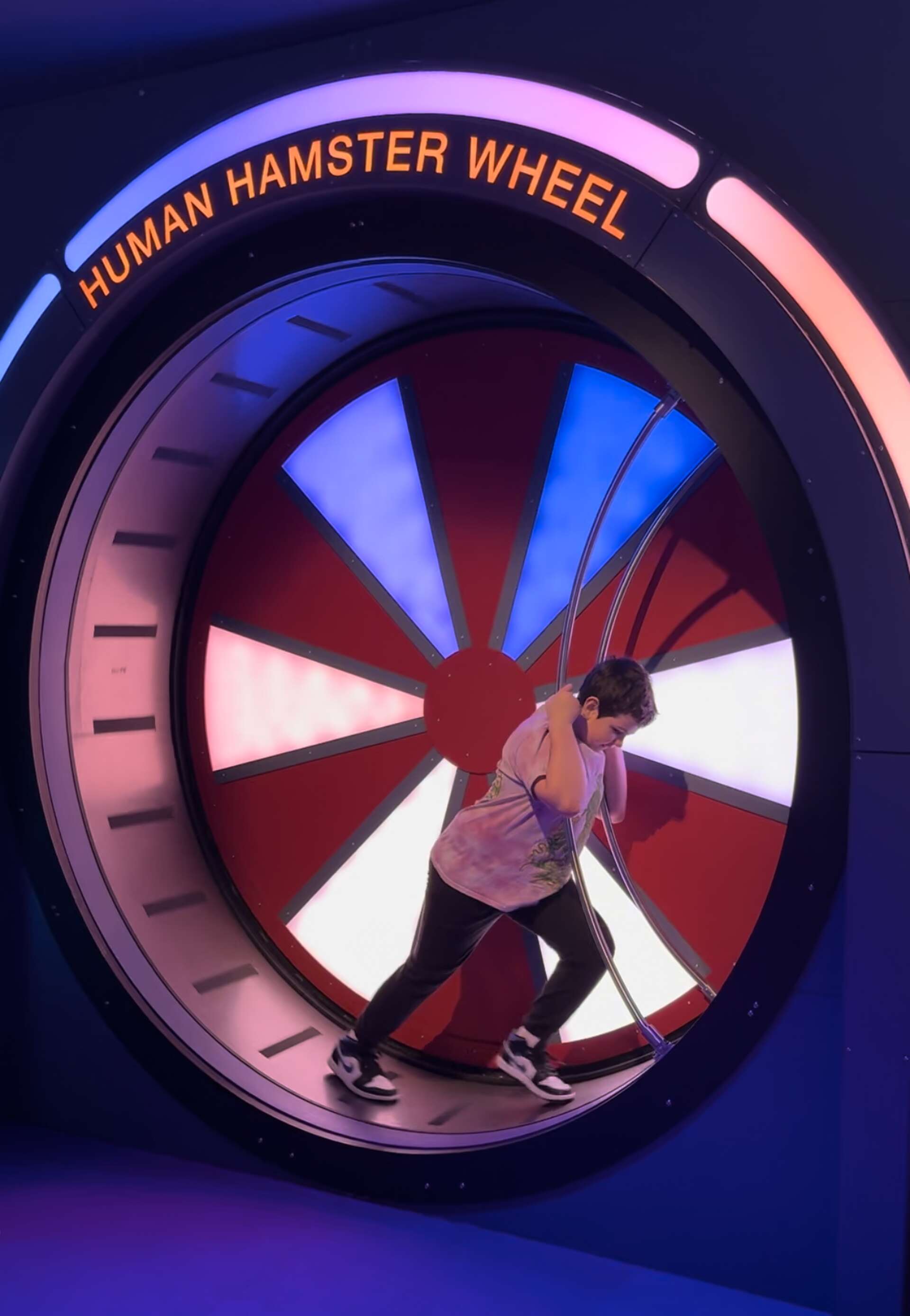 New 'Matter & Motion' exhibit at HM is the ultimate science field trip