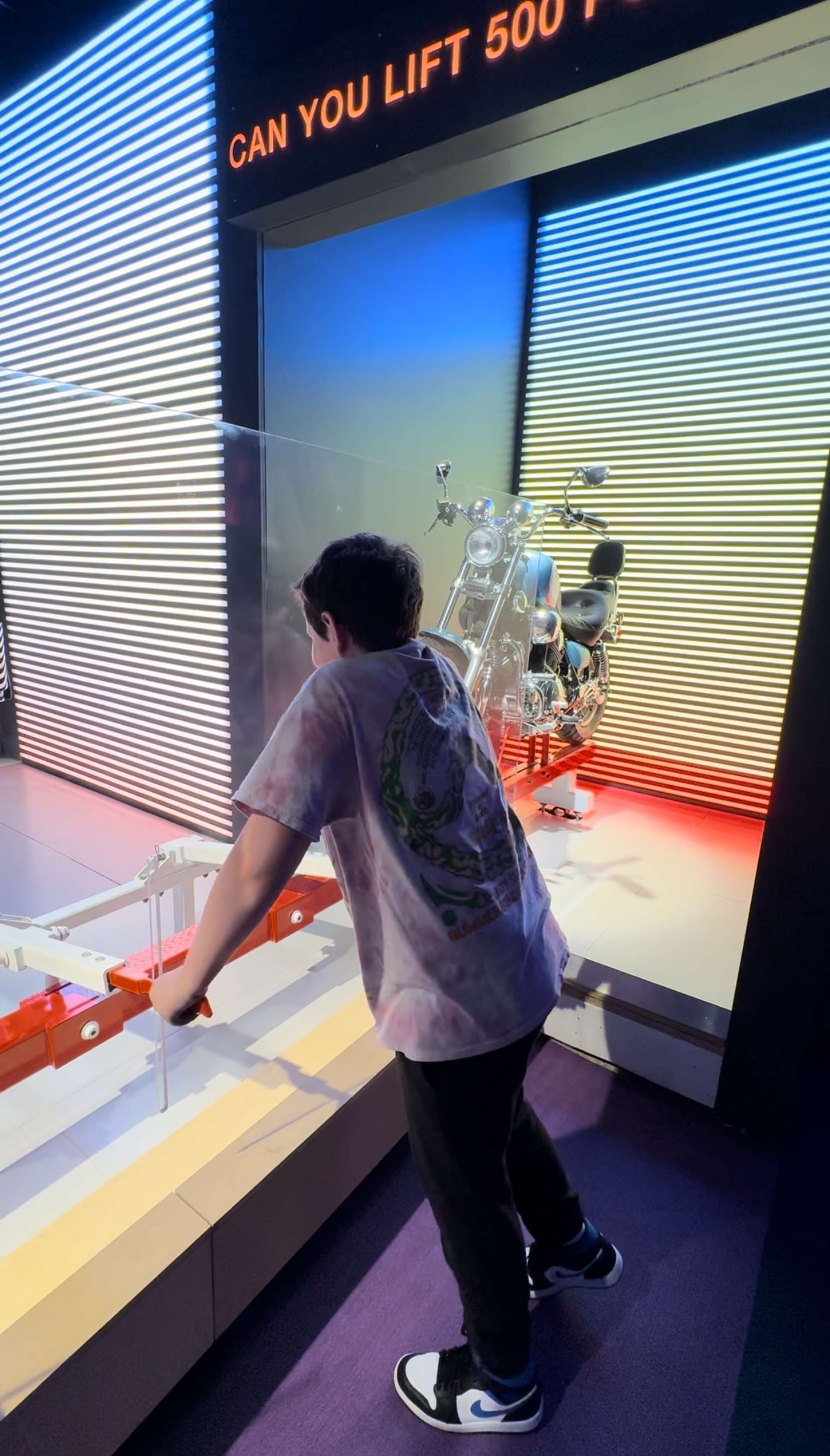 New 'Matter & Motion' exhibit at HM is the ultimate science field trip