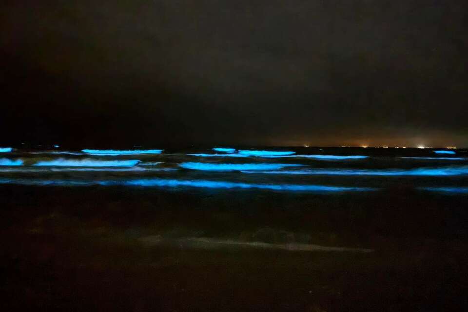 'Sea sparkle' makes Texas beach glow in the dark