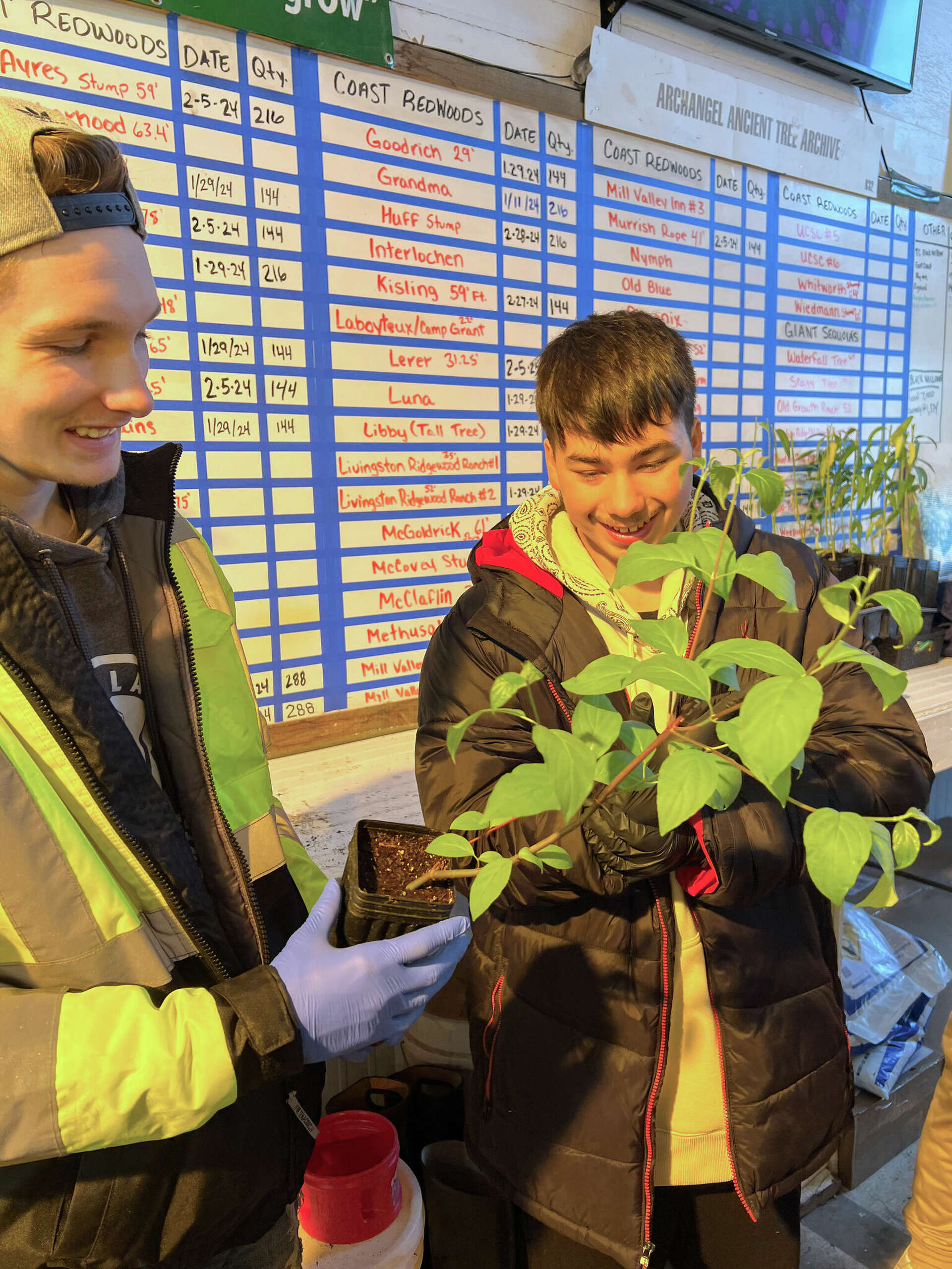 Archangel Ancient Tree Archive, garden club working with students
