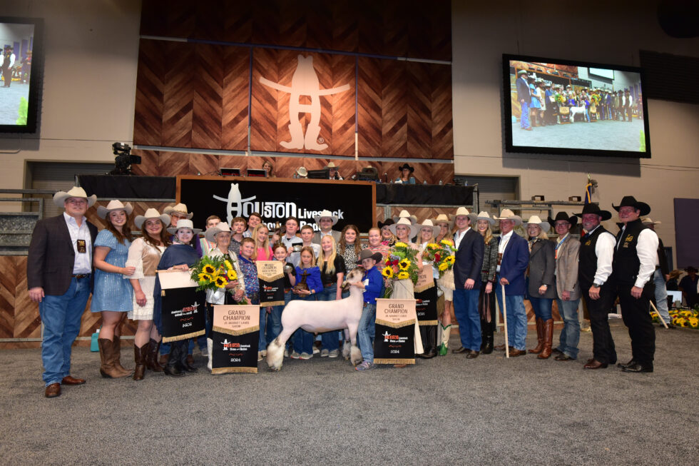 Lamb sells for record-setting $500K at RodeoHouston's Junior Market