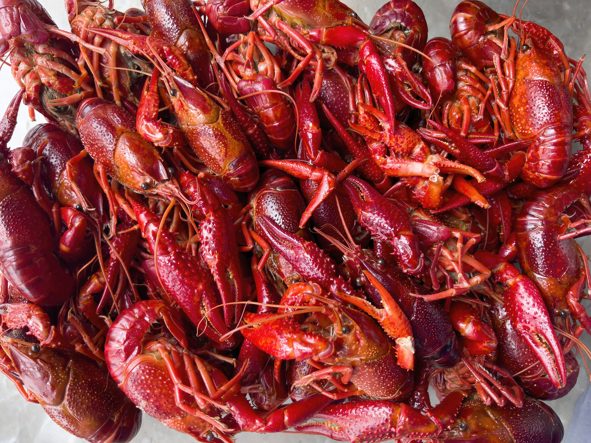 Erica Cheng - Journalist Profile - Intelligent Relations