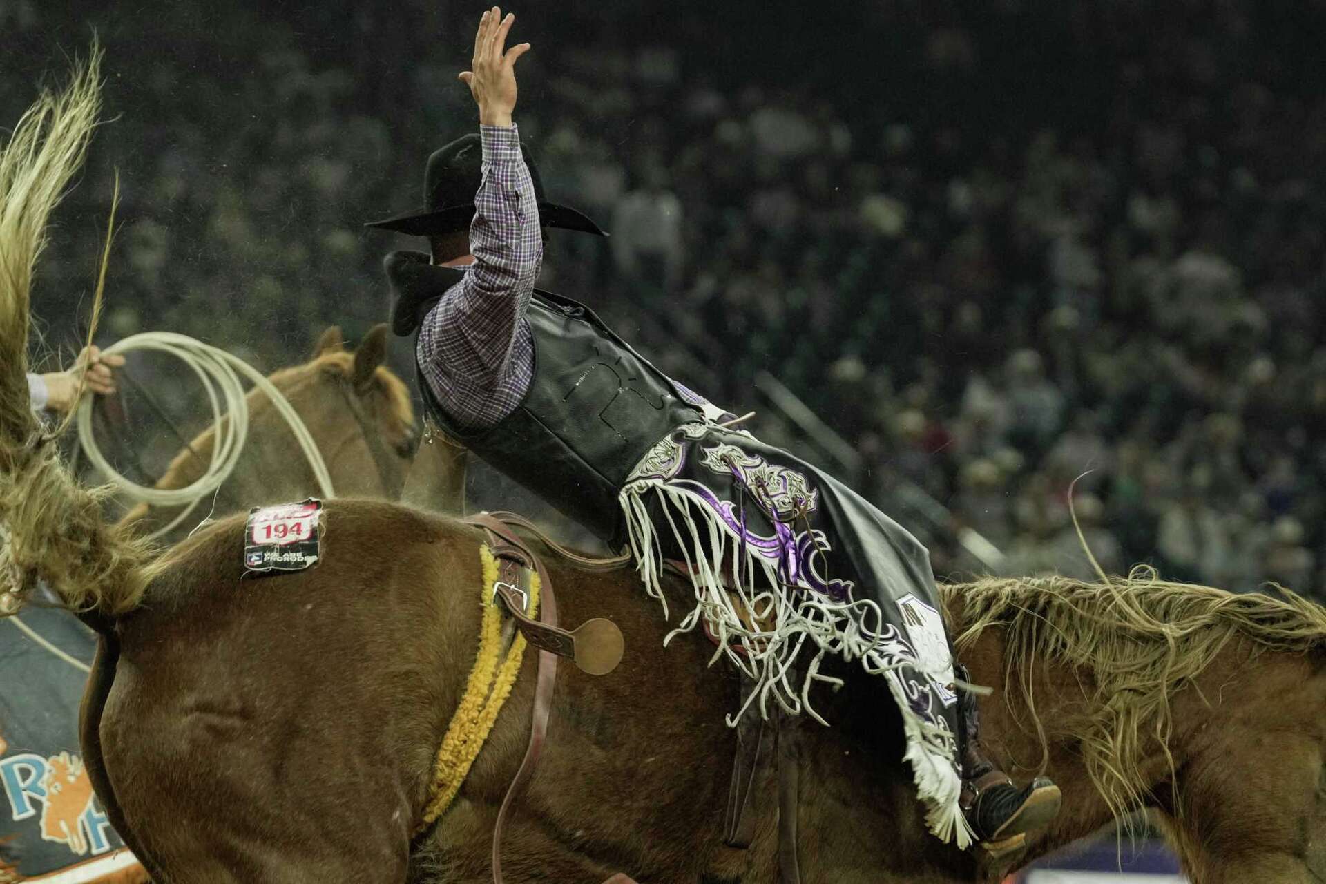 My New York City friend's first Houston Rodeo | Essay