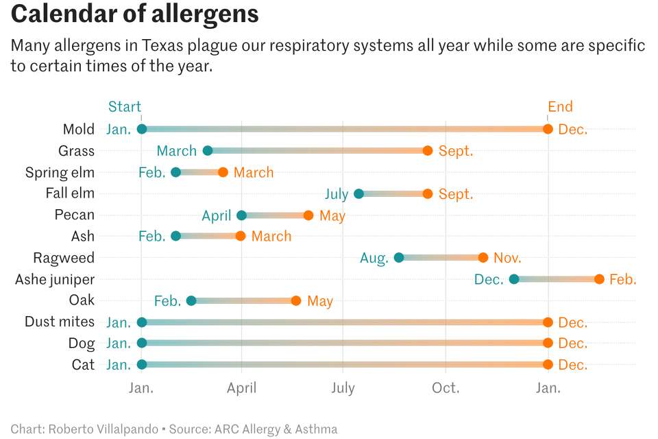 Houston allergies: What to know as fall 2024 approaches