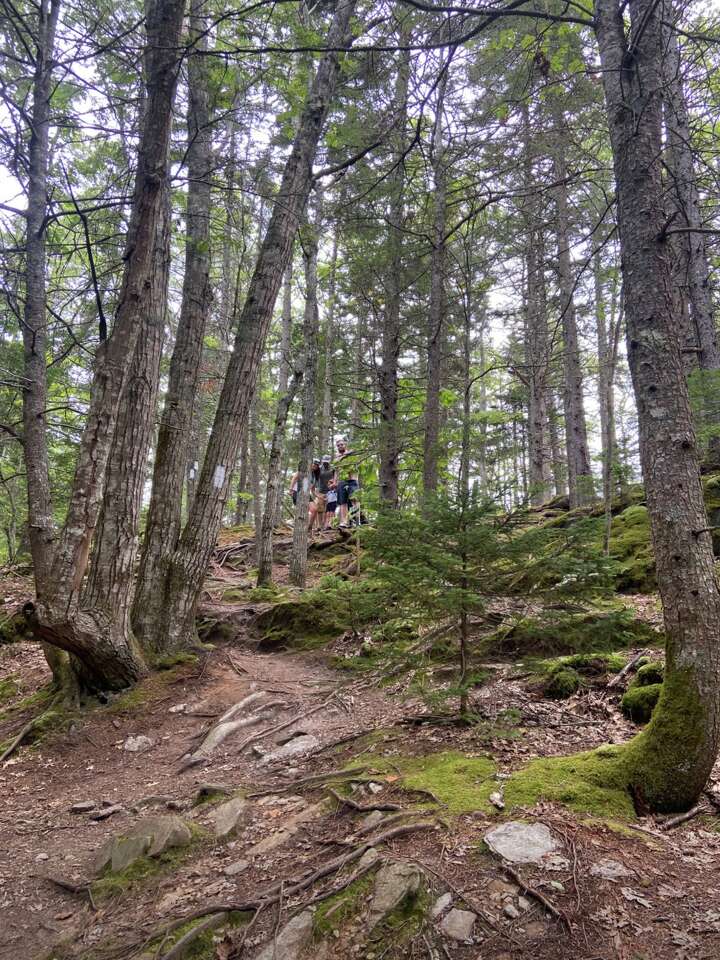 The 14 Best Hikes Near Portland, Maine
