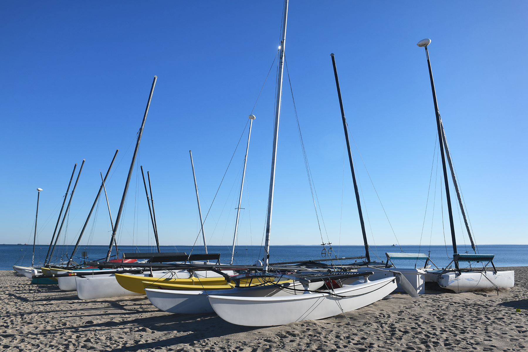 CT temperatures soar to around 60 degrees next three days, NWS says