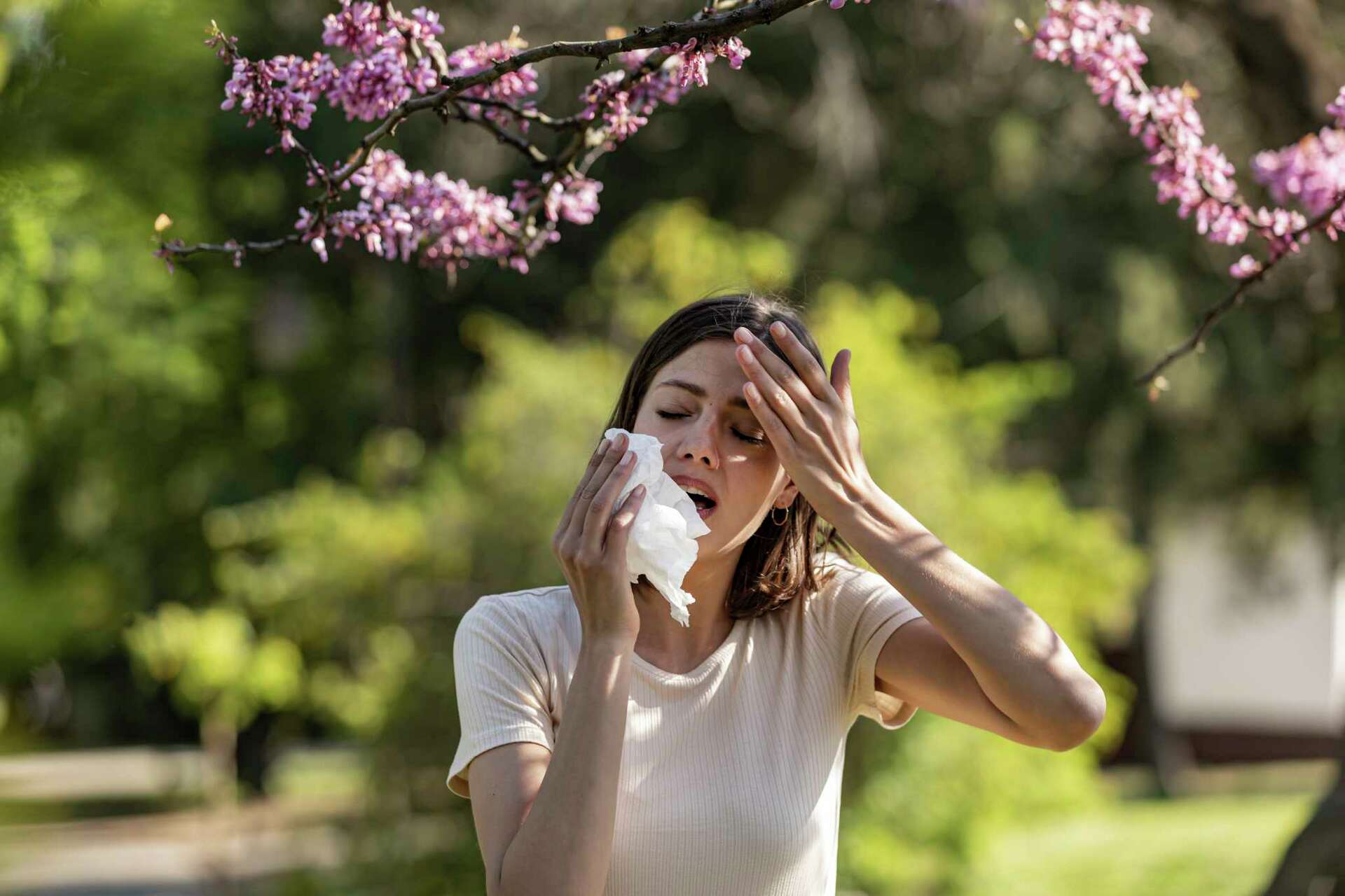 Houston's allergy season has arrived. Here's how to limit symptoms.