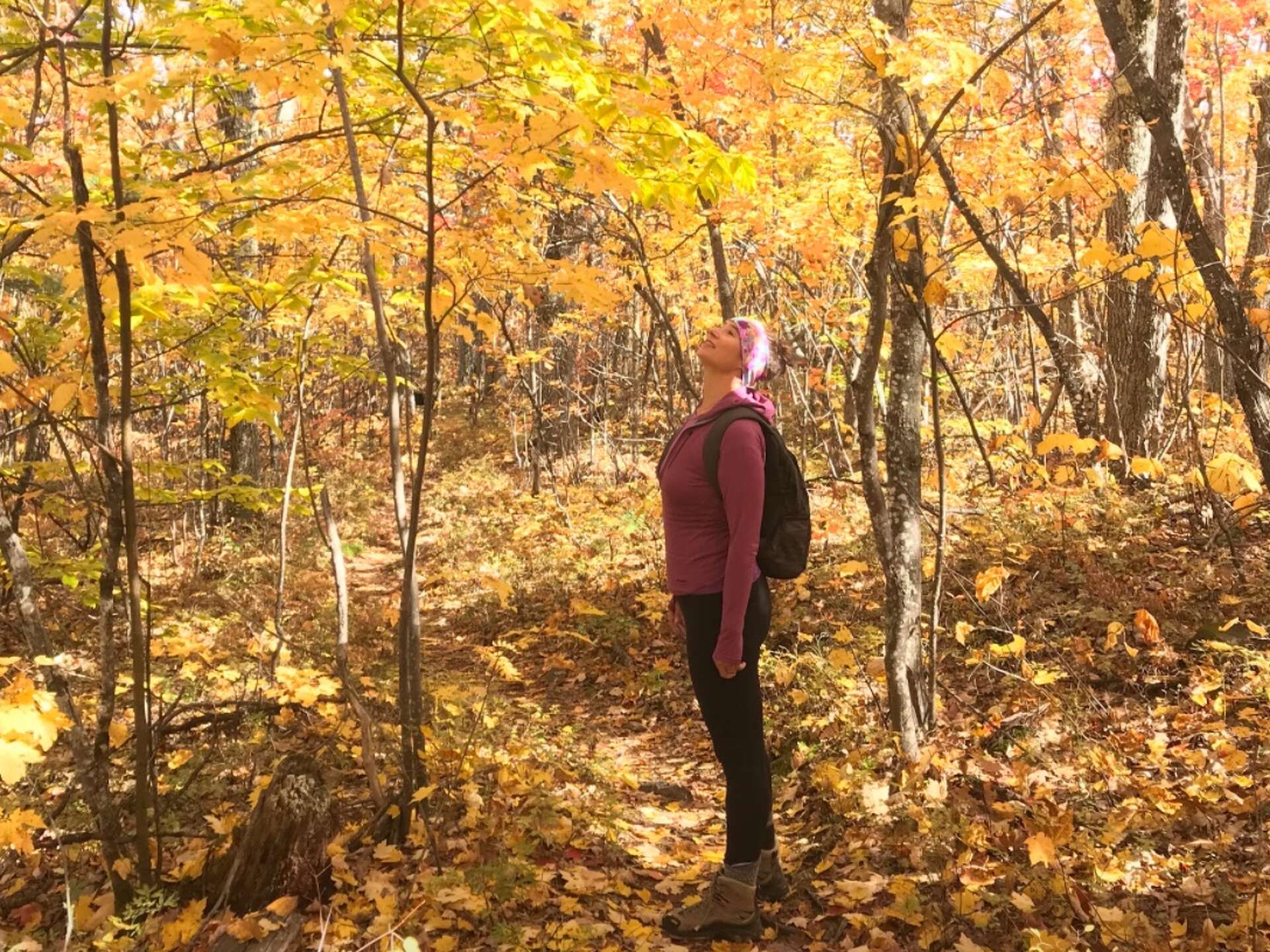 The 14 Best Hikes Near Portland, Maine