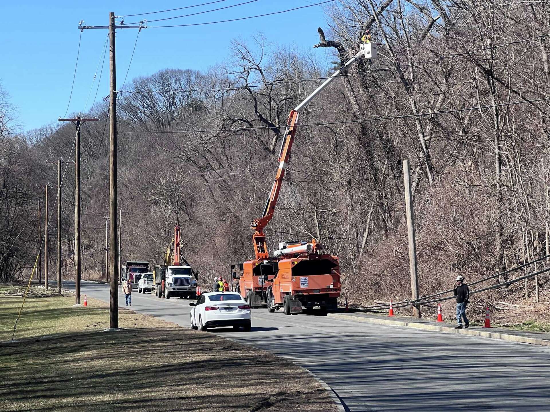 Troy shuts section of Spring Avenue