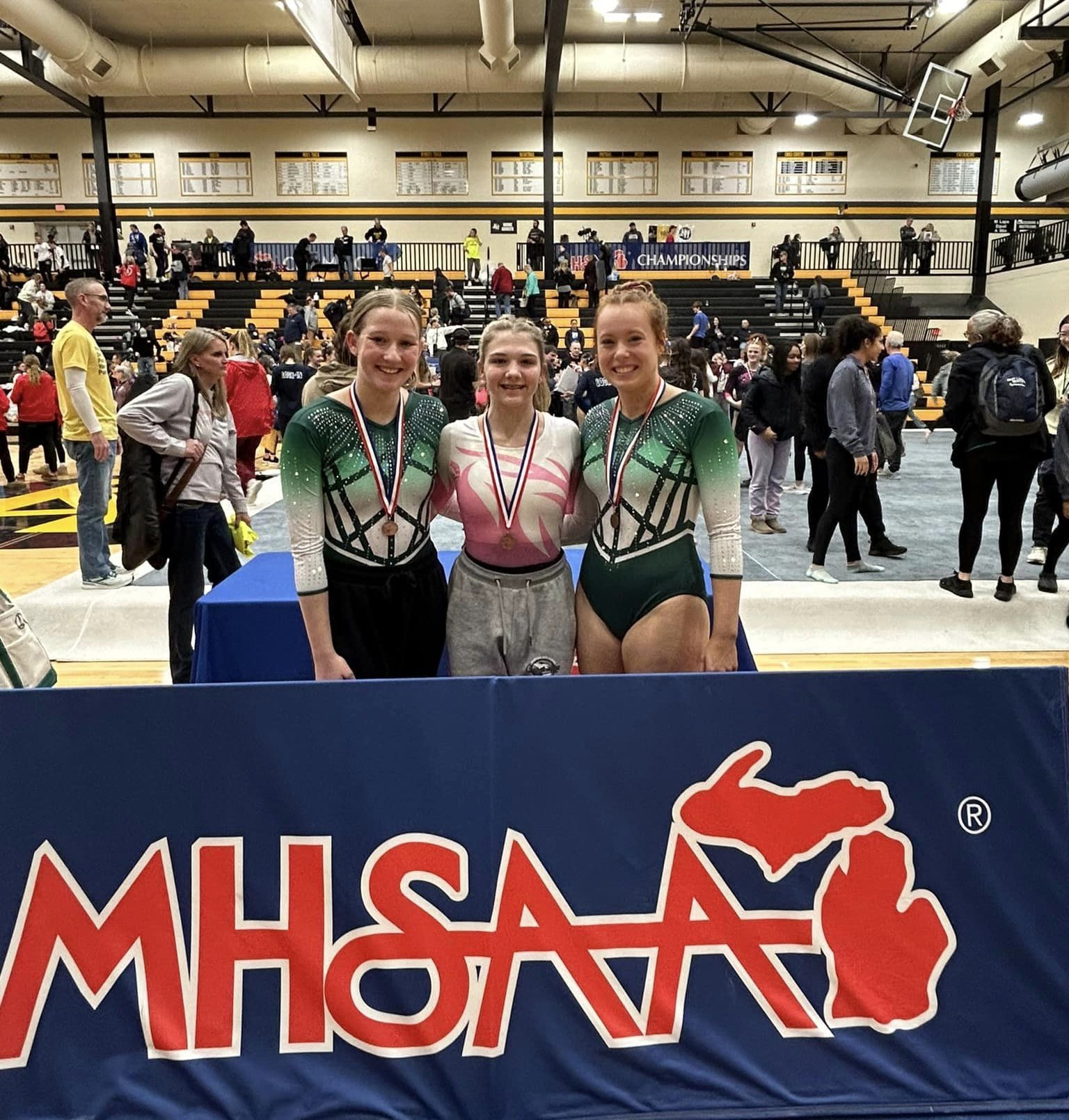 Three Cass City gymnasts earn all-state honors at state finals
