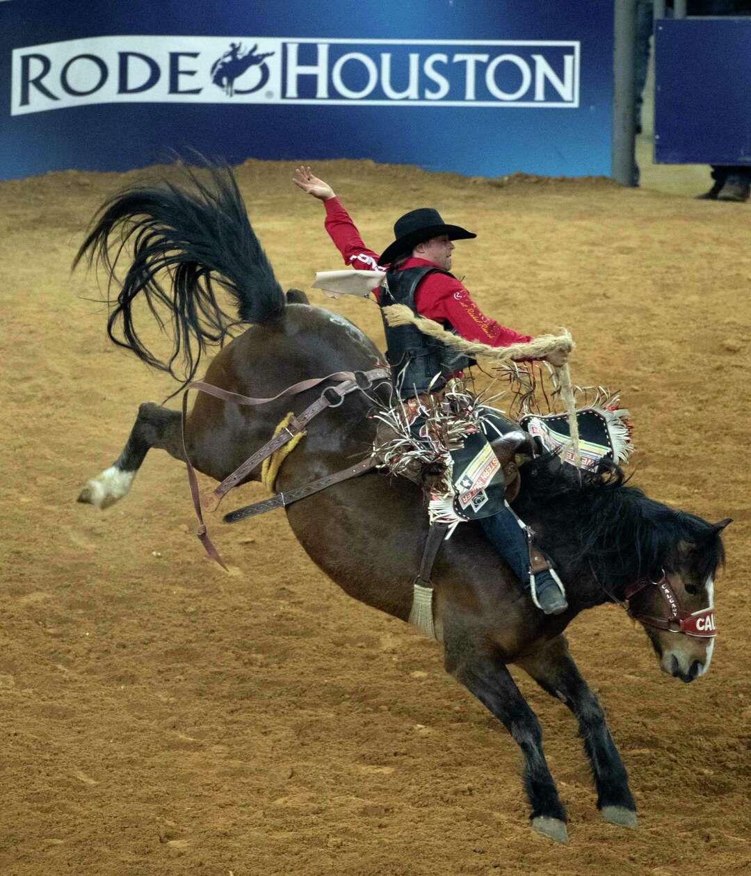 RodeoHouston: Richie Champion advances to bareback championship