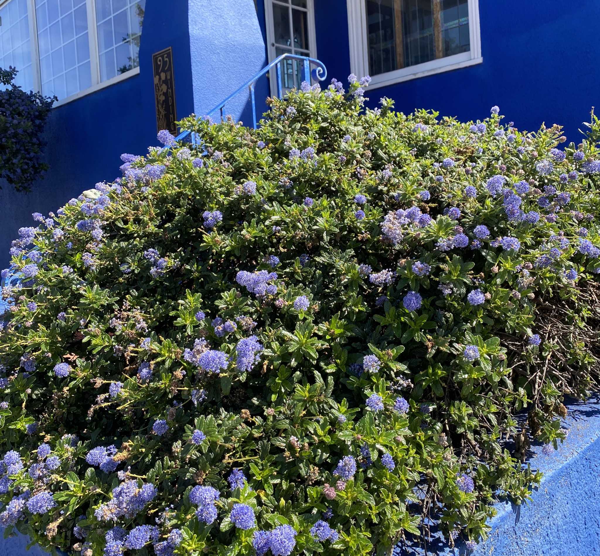 When your sympathetic ear advises not complaining